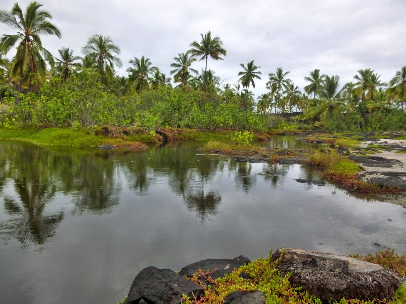 American Travel Journal: Pu'uhonua O Hōnaunau National Historical Park