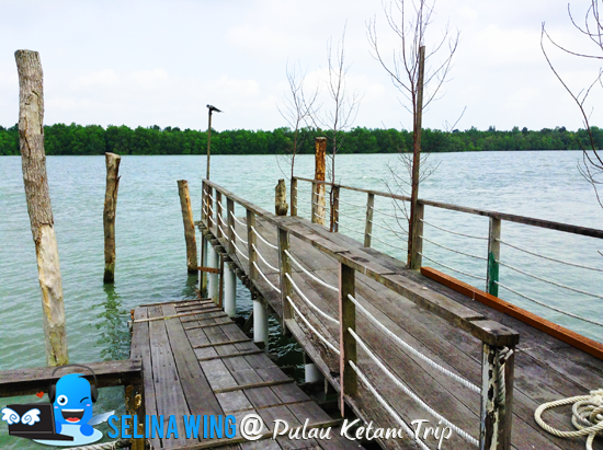 My Sight-seeing to Pulau Ketam - A Trip Day of Crab Island, Malaysia