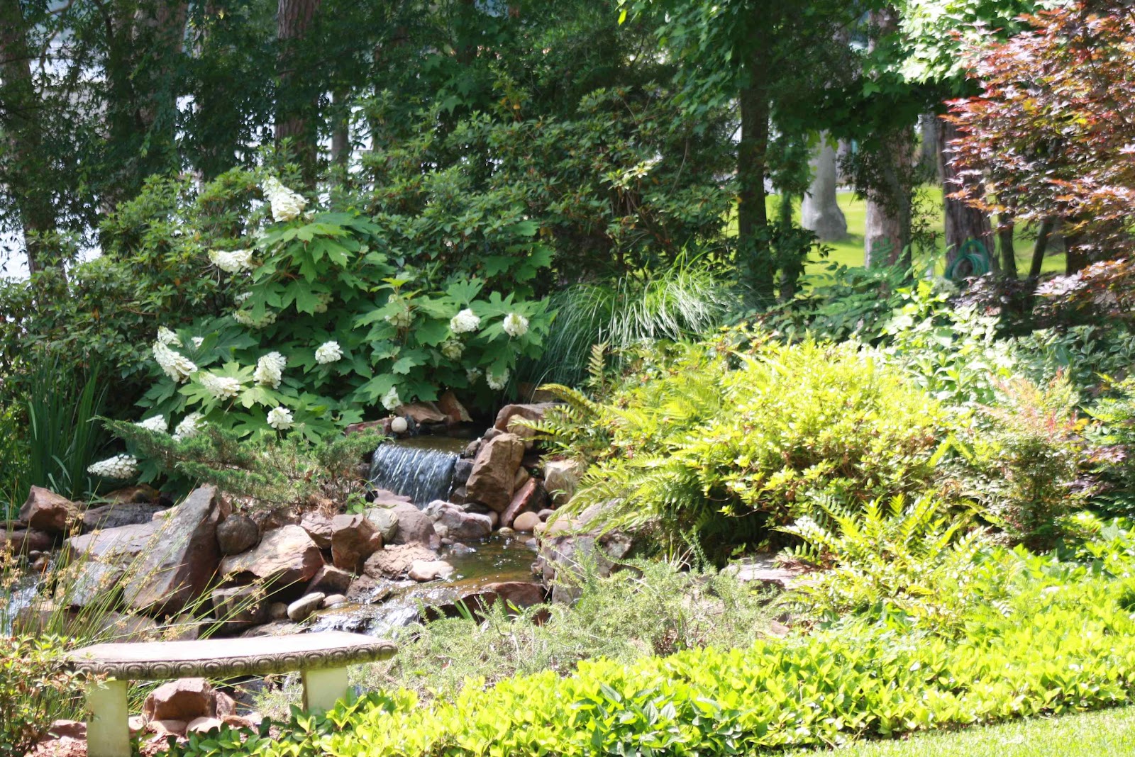 Roses and Other Gardening Joys: Lakeside Living - Garden Tour