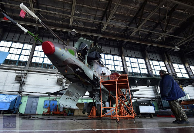 Rusadas: El paritorio de las alas rojas