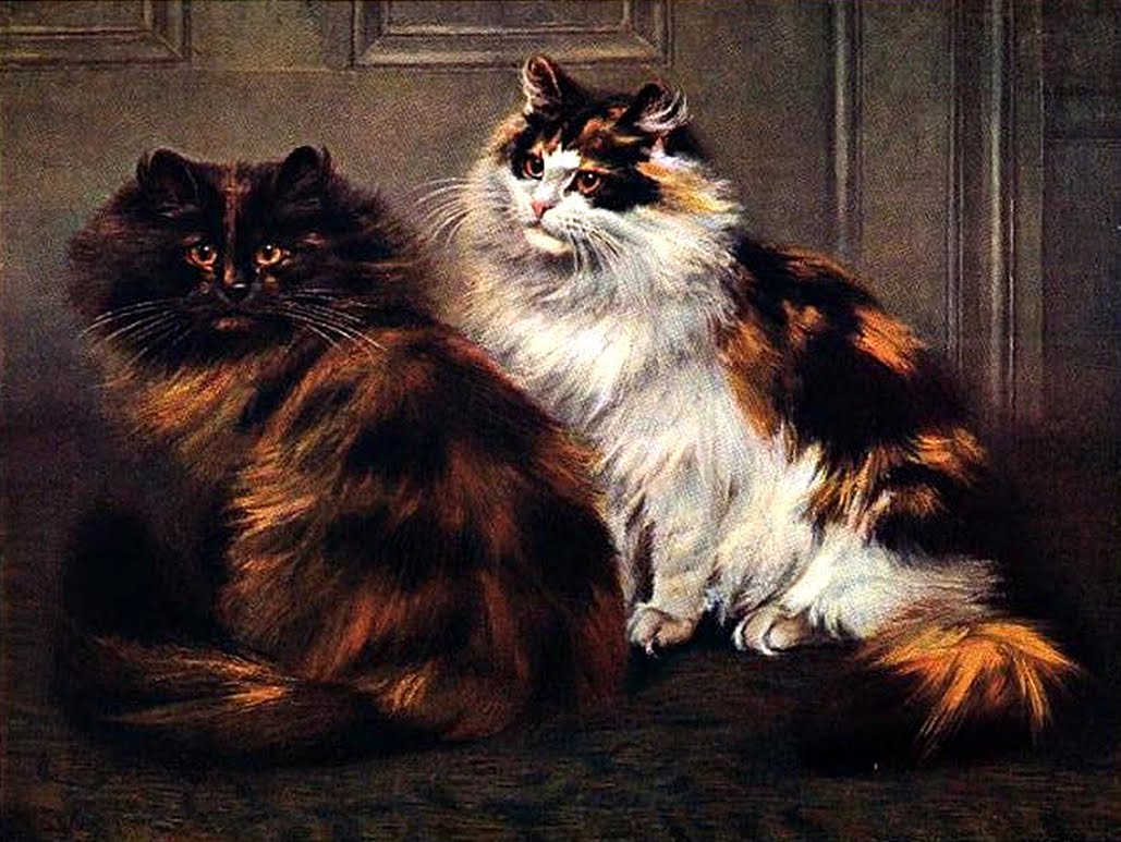 Tortoiseshell Persian Cats #Caturday Public Domain Clip Art Photos and ...