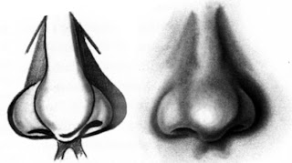 rajzok: Az orr rajzolása