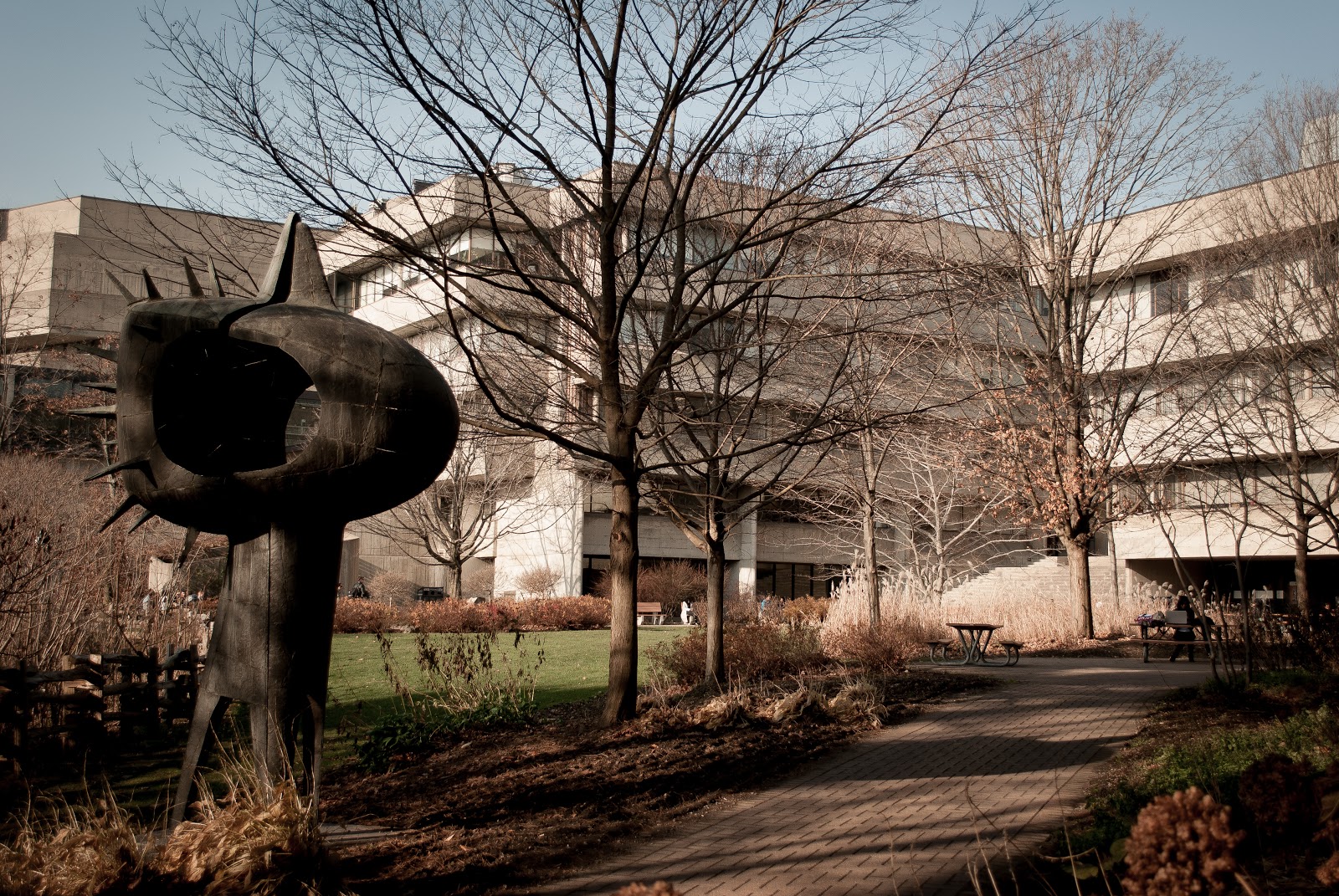 UTSC Pulse: UTSC: Changing Views