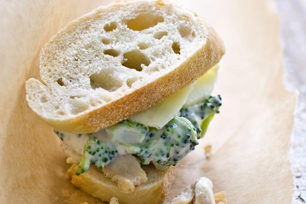 Cheesy Chicken Broccoli Alfredo Sandwich - Yummi Recipes