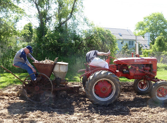 Jarvis House: Potato Planting at the GCHA Gardiner Farm 2012