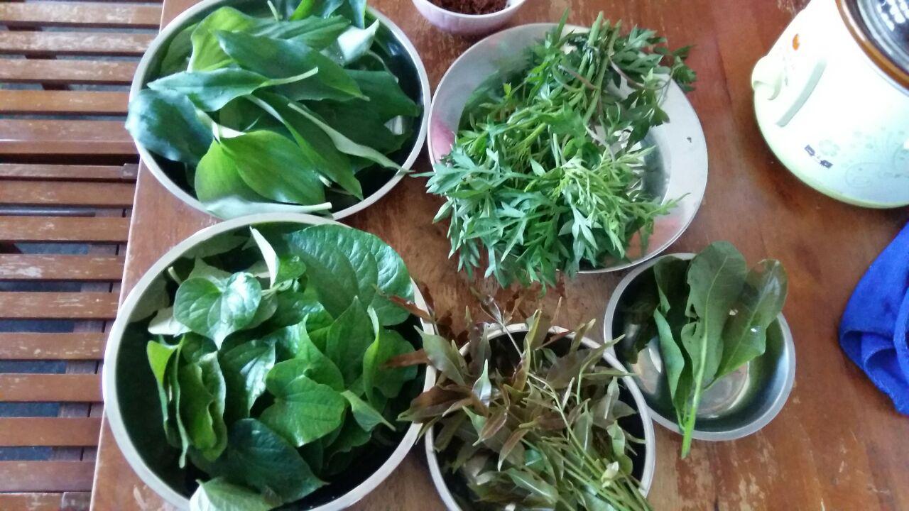 我学.我思.我写: 香草饭（nasi ulam)