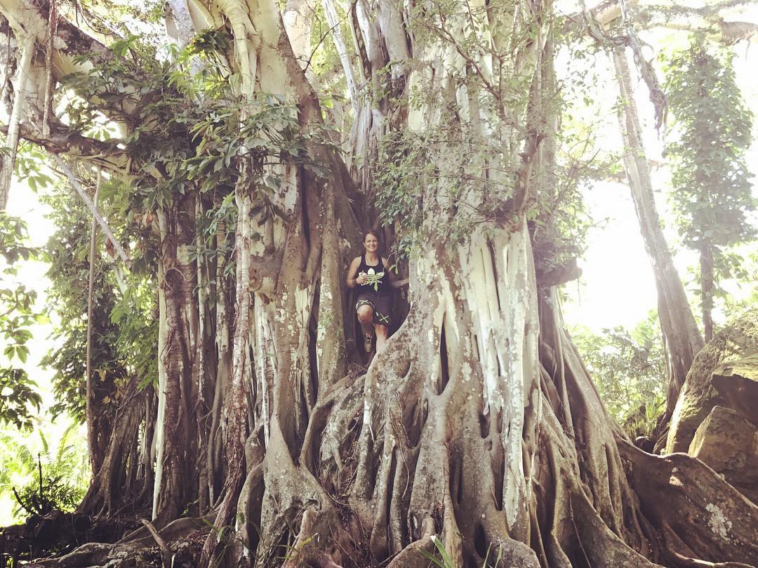 dwende - philippin news collections