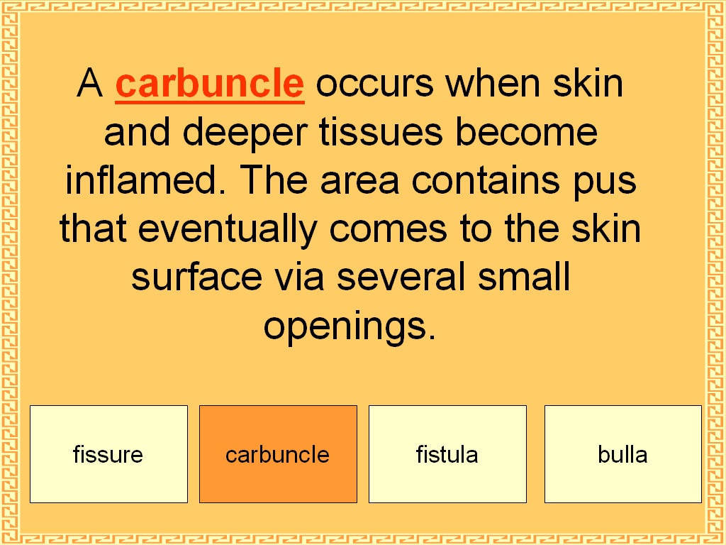 Student Survive 2 Thrive: Free Medical Terminology Practice Test: Skin ...