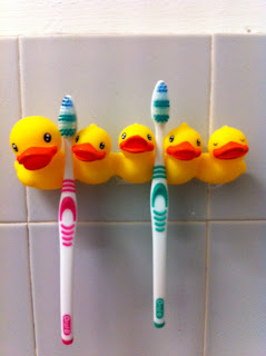 My Duck Collection: Ducky toothbrush holder
