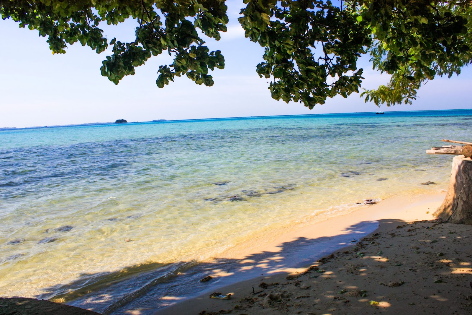 Sang Petualang: Pulau Semak Daun