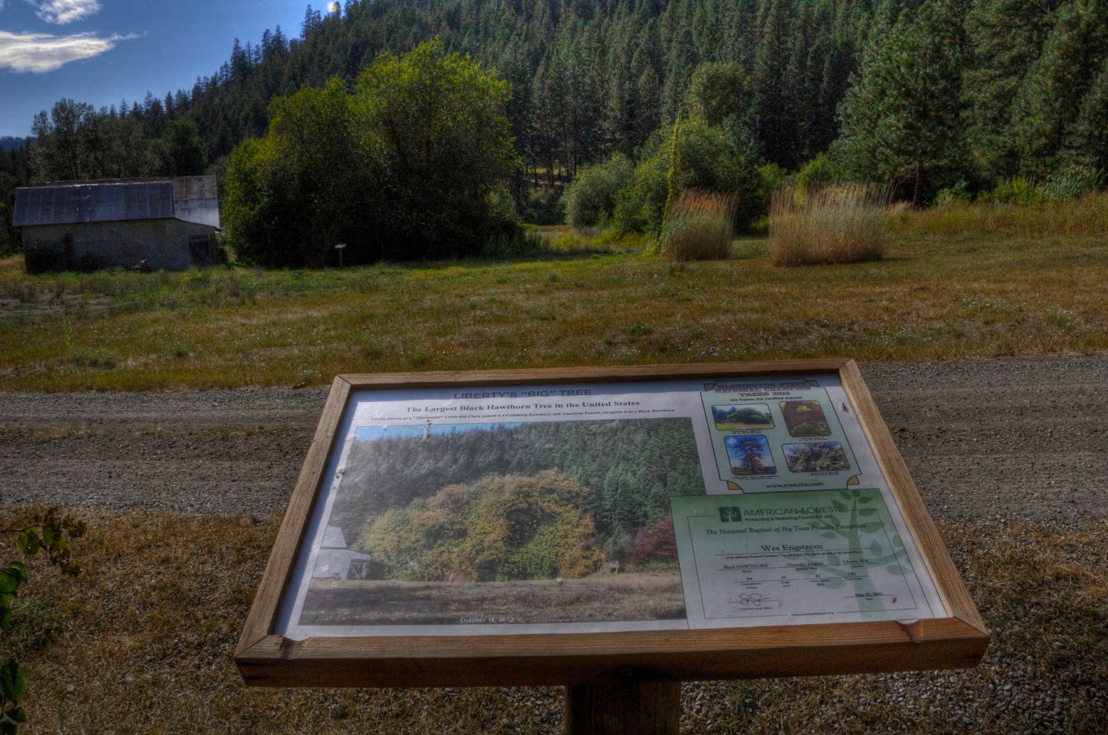 This Life in Ruins: Liberty Washington , Not a ghost Town