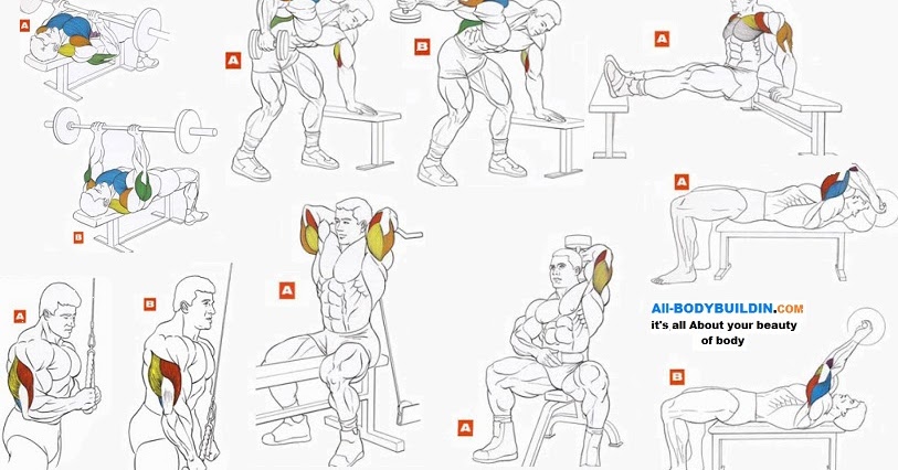 Best Tricep Exercises For Bodybuilding ~ multiple fitness