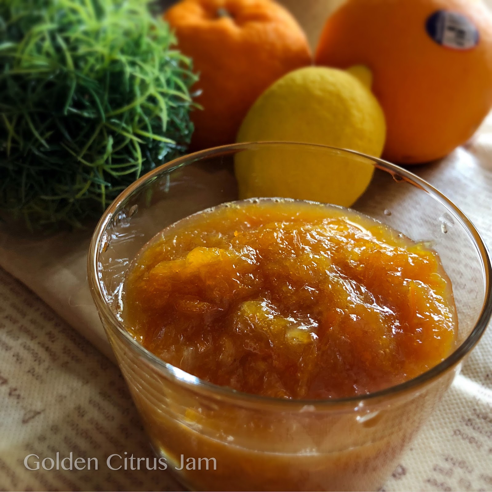 My Mind Patch: Golden Citrus Jam