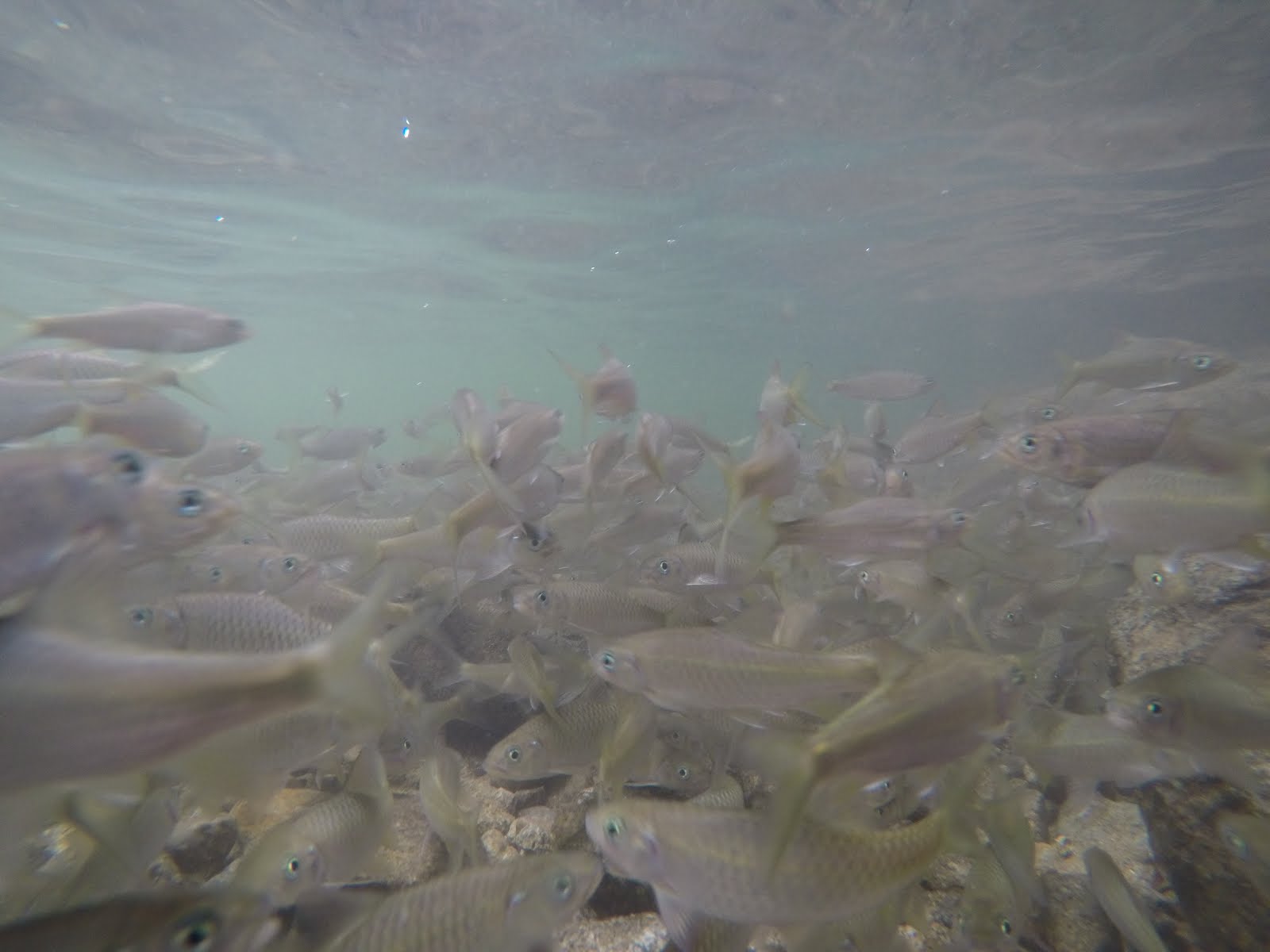 Cara saya ke air terjun Lepoh (Lepoh Waterfall), Hulu Langat - Nothing ...