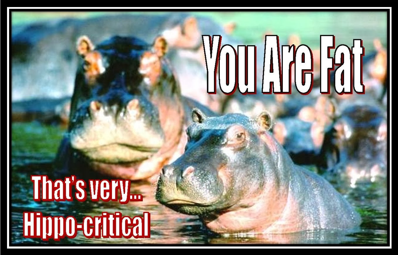 DIY Is My Happy Place: Hippo Humor