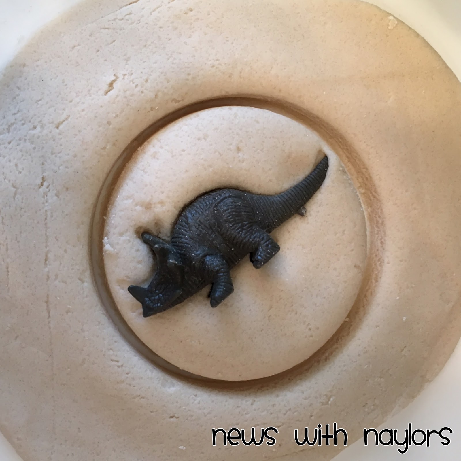 Homemade Dinosaur Fossils