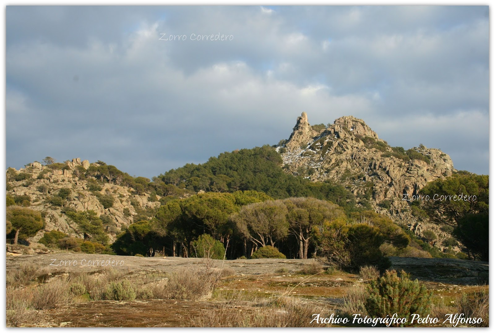 Zorro Corredero de Cadalso de los Vidrios: CADALSO DE LOS VIDRIOS PARA ...