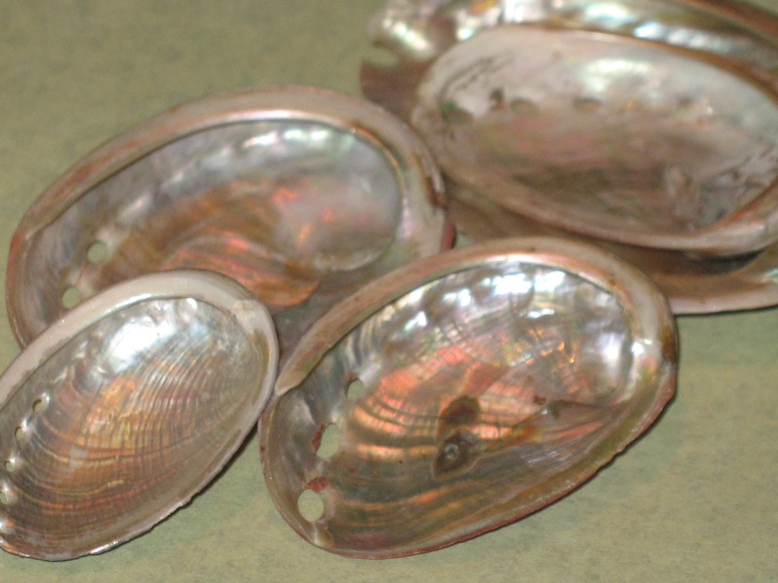 Artsy Fartsy: Bedazzled Abalone Shells