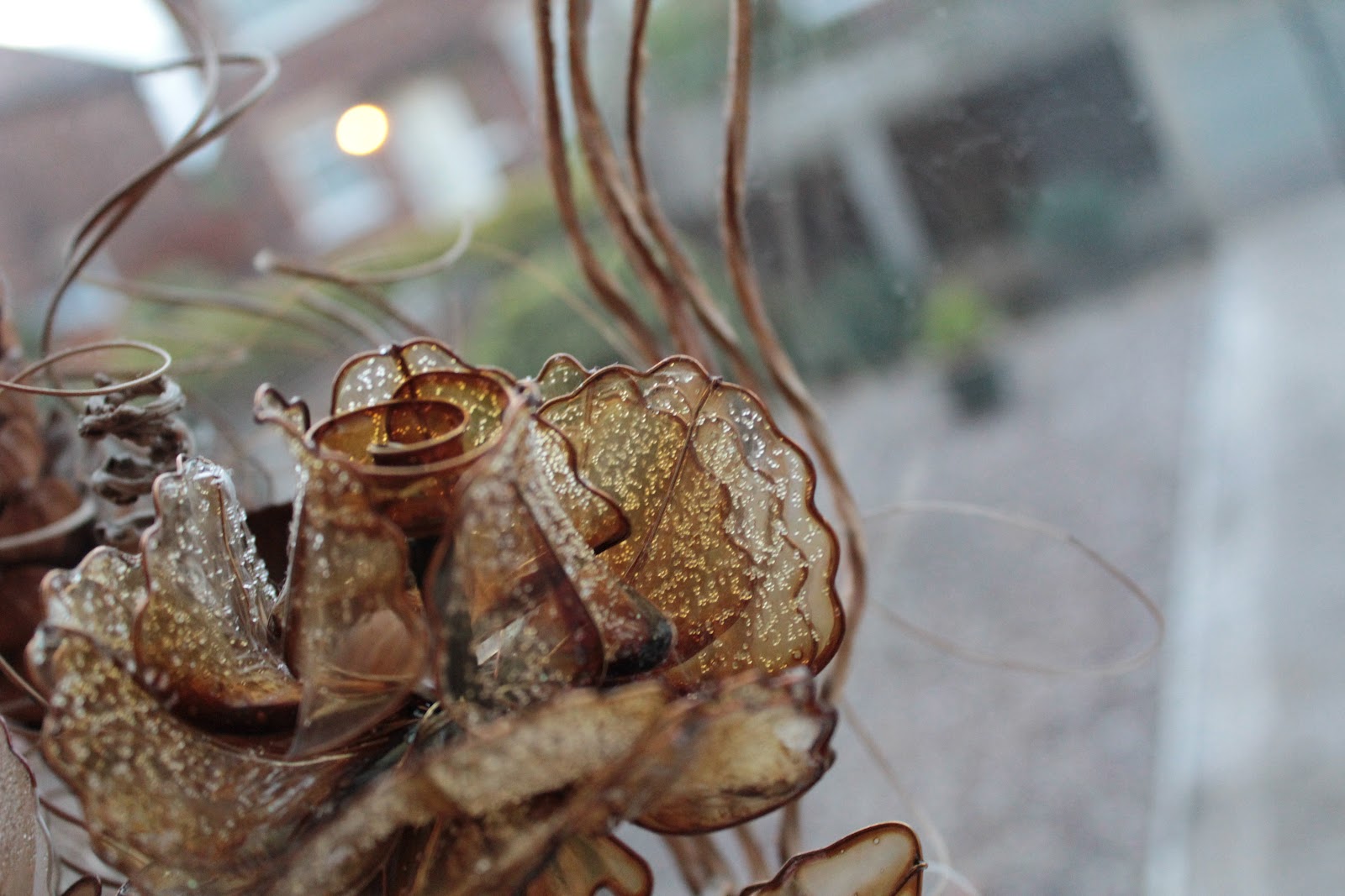 Emma-louise Hatch Photography: Examples of short depth of field