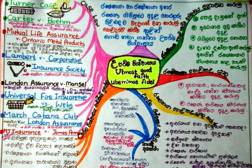 Law Student: Mind Maps on Law - Study tool