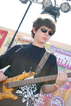 The Feaver: The Feaver