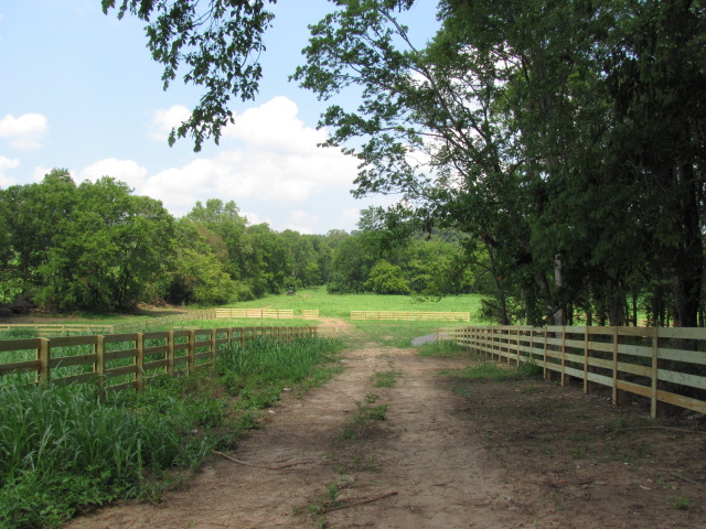 Paradigm Farms Horse Retirement: Construction Progress Report and Farm Tour