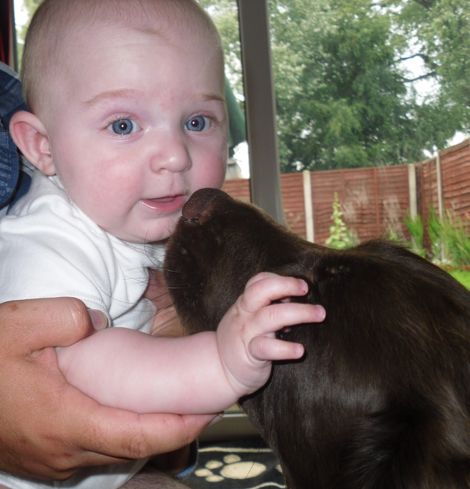 Spunky Senior Authors and Talents: Sheila Newberry Invented Stories In ...