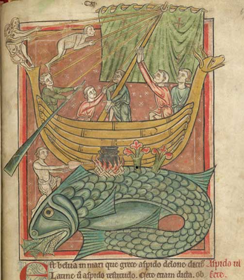 Black and White: Aspidochelone