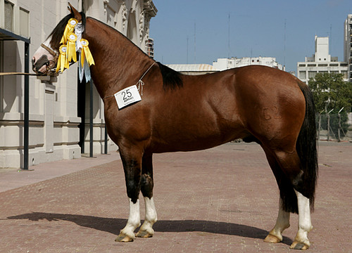 Blog Tics Antia: noviembre 2017