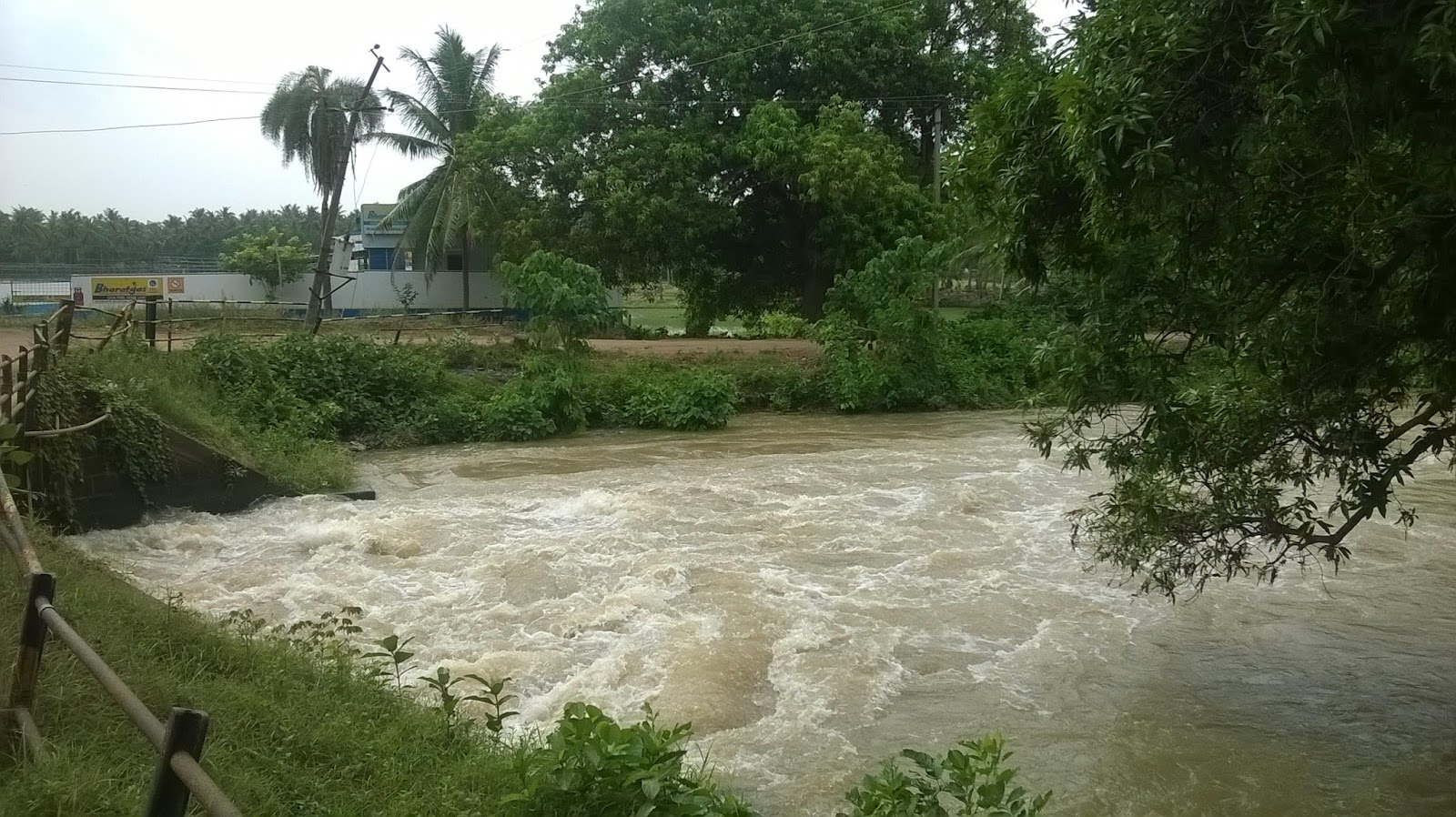 Explore RAJAHMUNDRY: # Sri Venkateswara Swamy Temple,Vadapalli