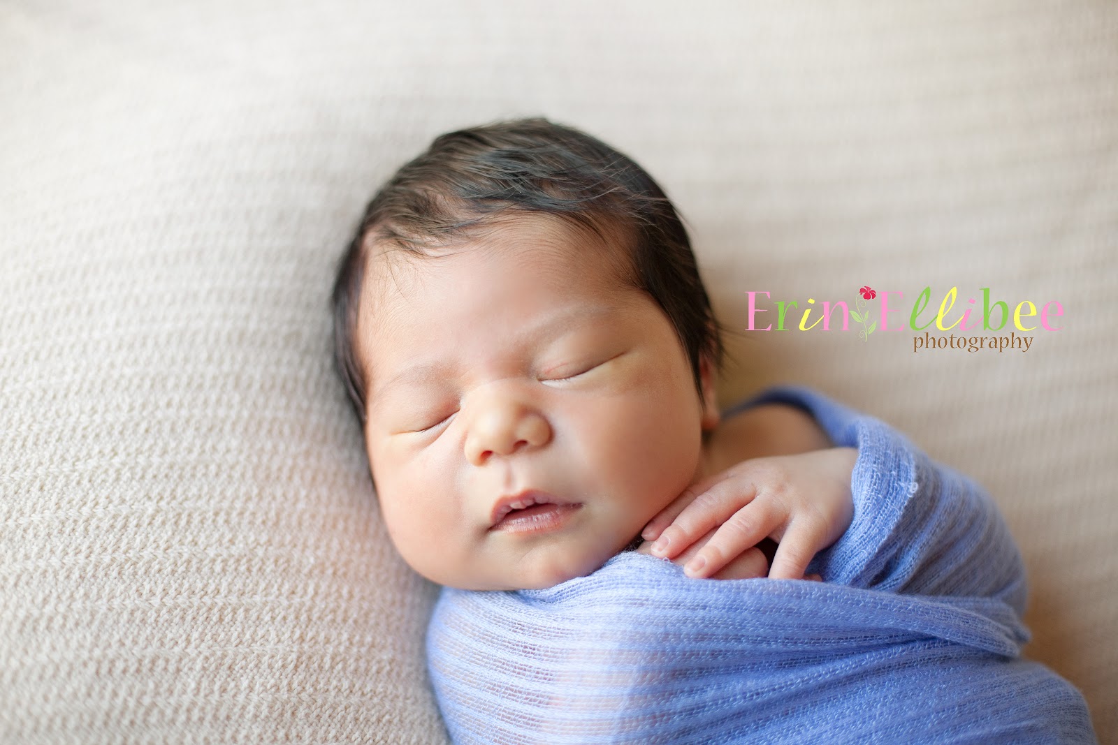 Erin Ellibee Photography (Blog) .... Premier Newborn, Baby, senior and ...