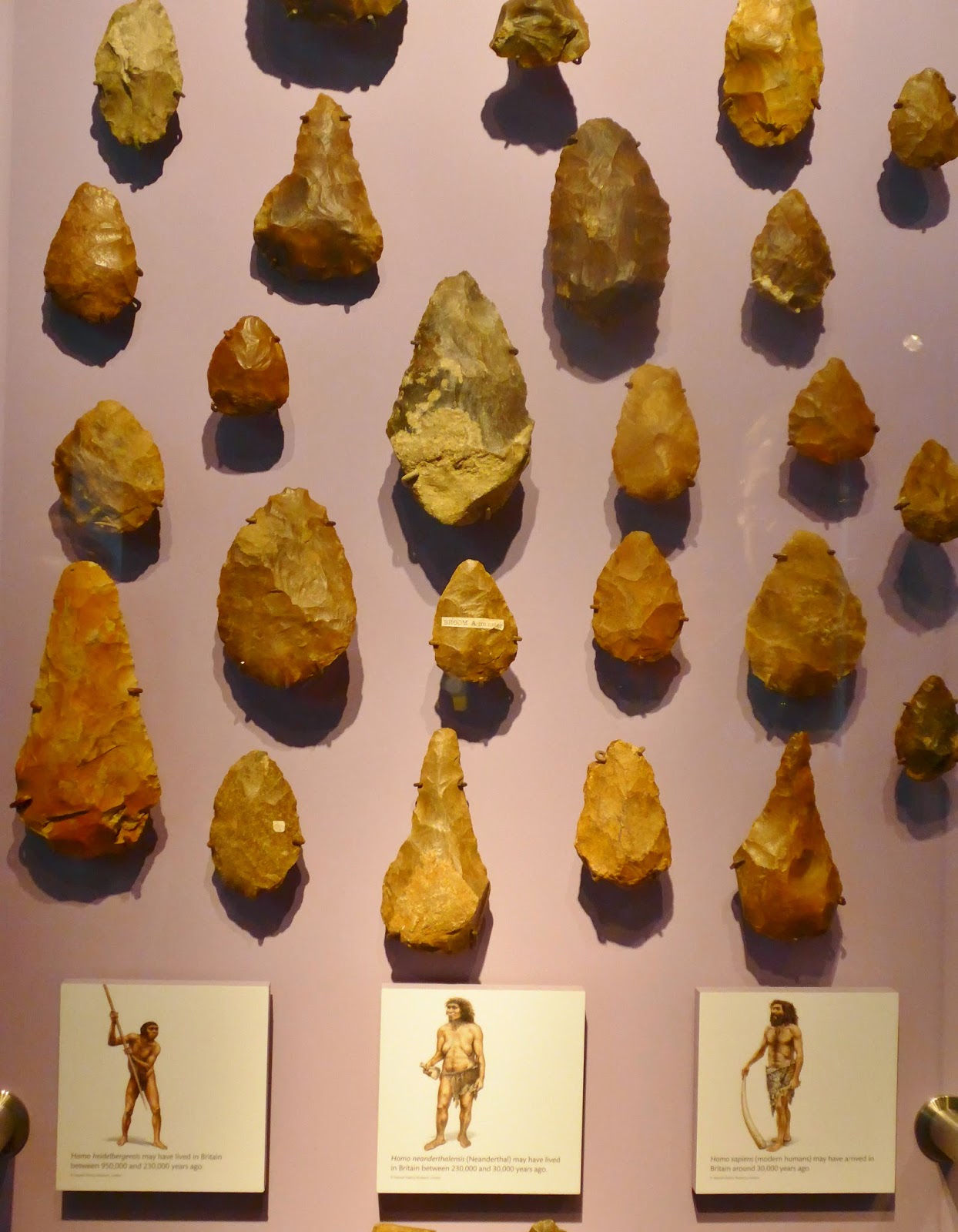 Art-e-facts: encounters with objects in museums: FOUND IN A MUSEUM