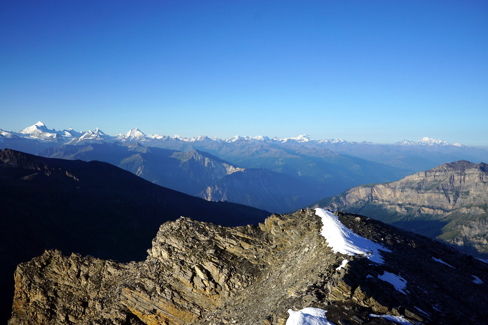 Swiss Mountain Goat: Balmhorn