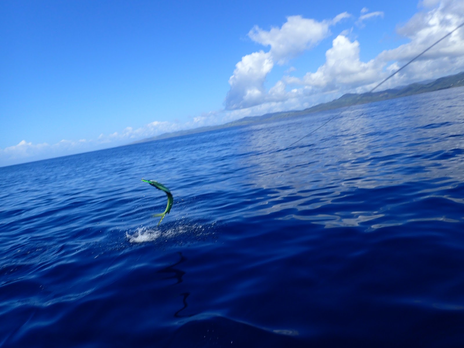 SV FLUENTA : Savusavu to Tuvalu Photos - Fish and Squalls.