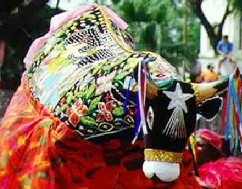 From Brazil to the World: The legend of the bumba-meu-boi