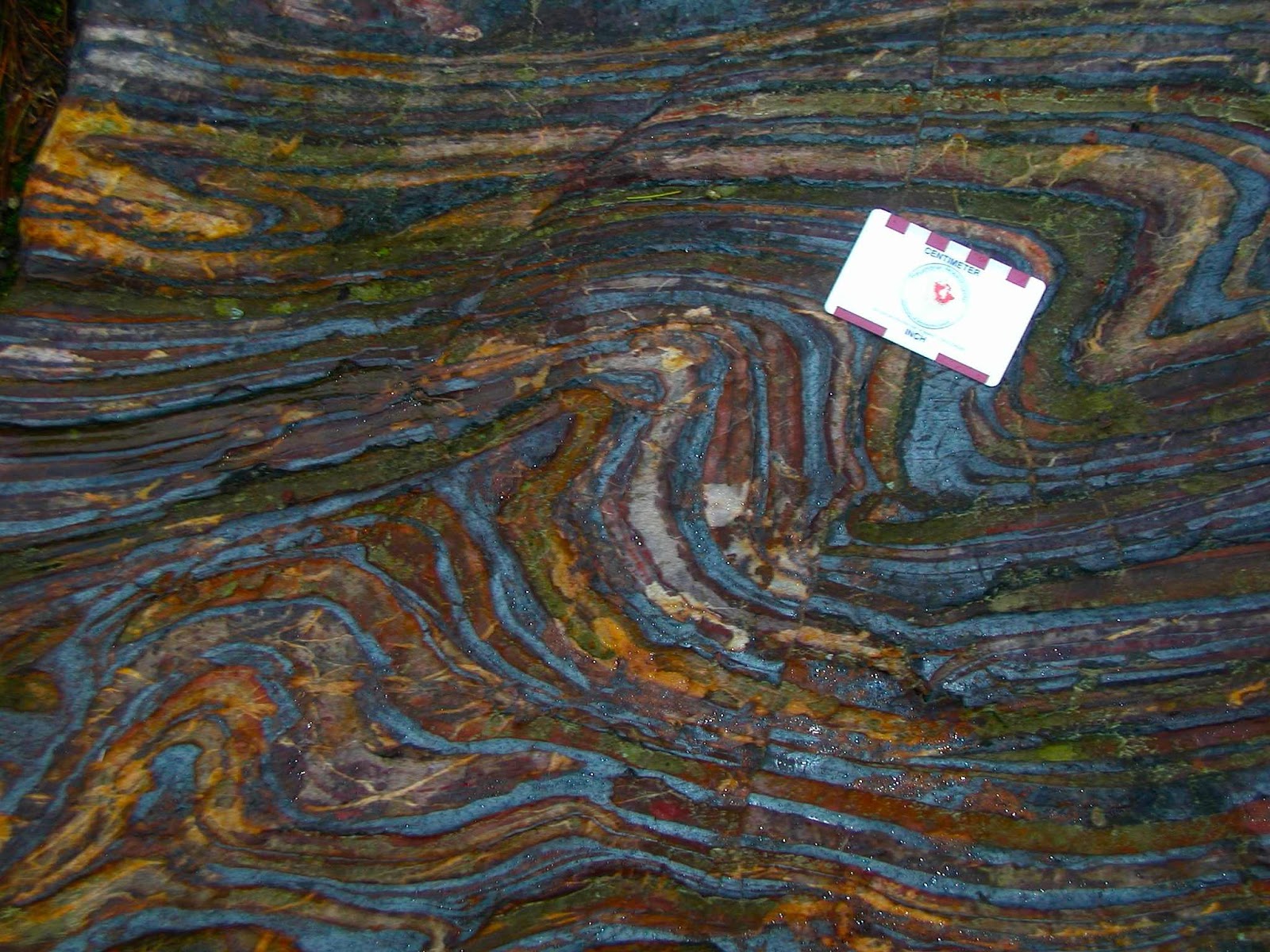 earthscienceguy: Minnesota Geology Monday - Folded Banded Iron Formation