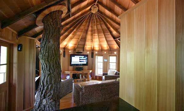 Tree House Interior Design.