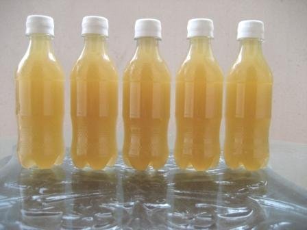 Fresh Coconut Water Suppliers: Coconut Water Concentrate