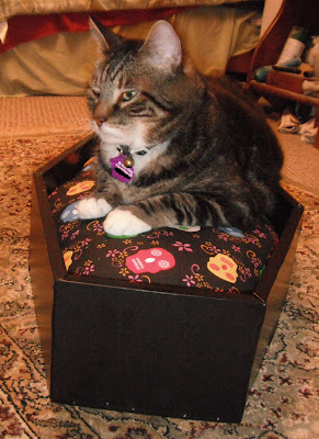 Catsparella: Morbidly Adorable: Coffin Shaped Cat Beds