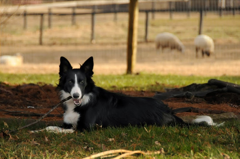 Punkin's Patch: The God Of Simple Shepherds