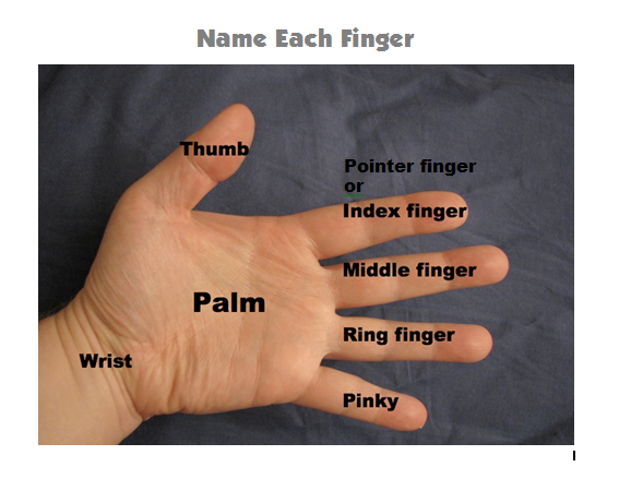 lpcomputerlab: Grade 1- PreKeys Lesson 3