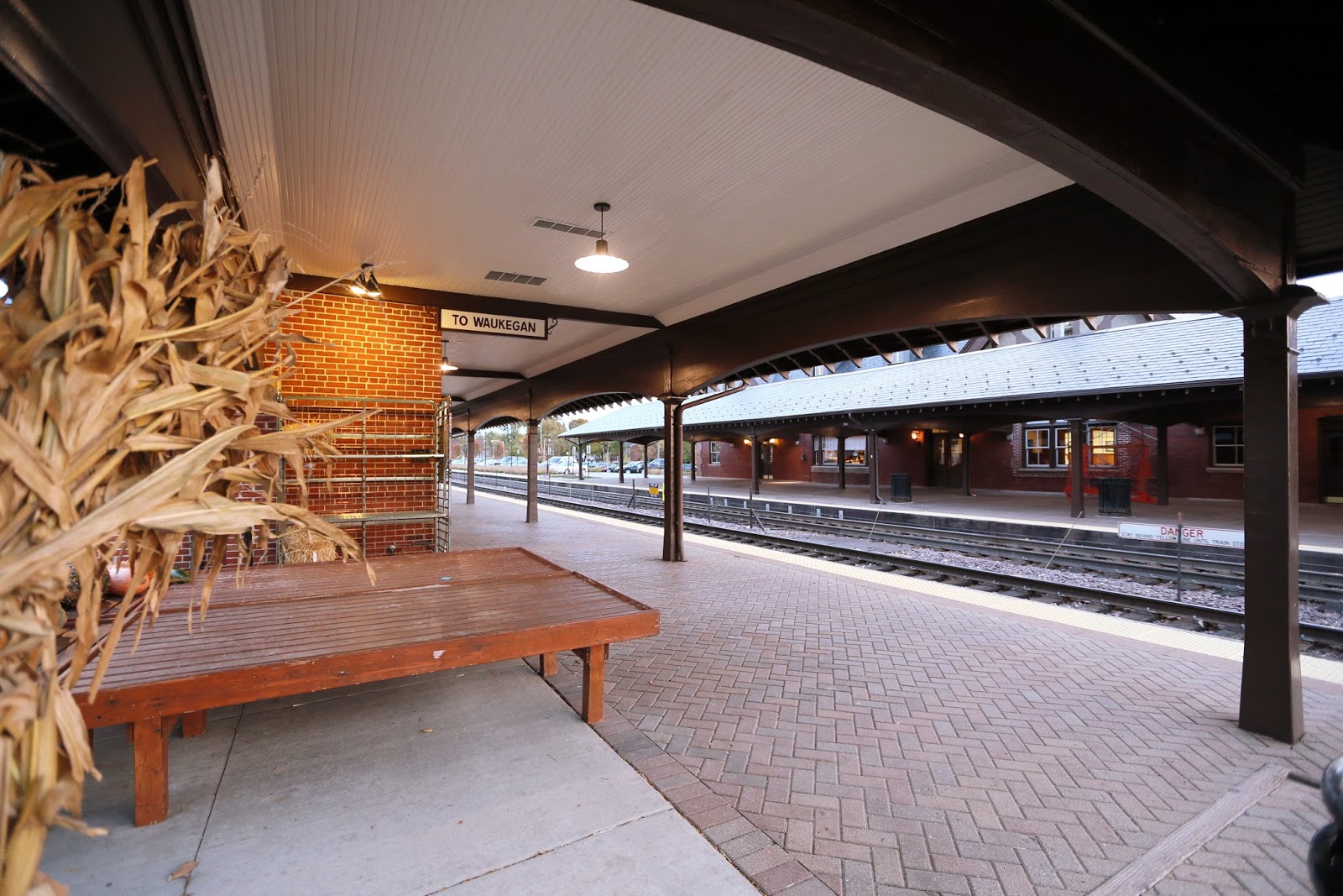 Mark Kodiak Ukena: Planned Renovation of the Lake Forest Train Station