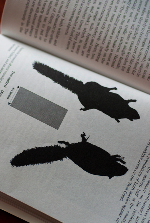 The Useless Creatures: Book Review: Roger M. Knutson's Flattened Fauna