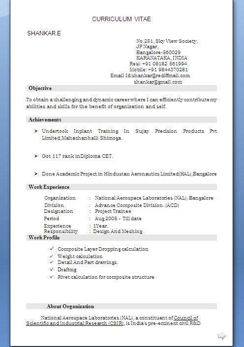 simple biodata form pdf
