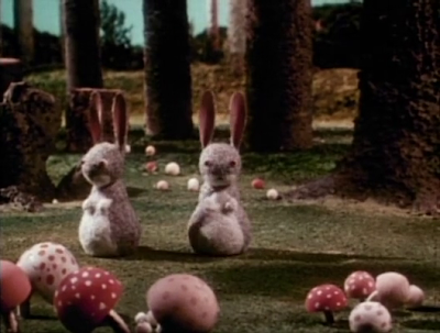 Tralfaz: Pop Up Rabbits