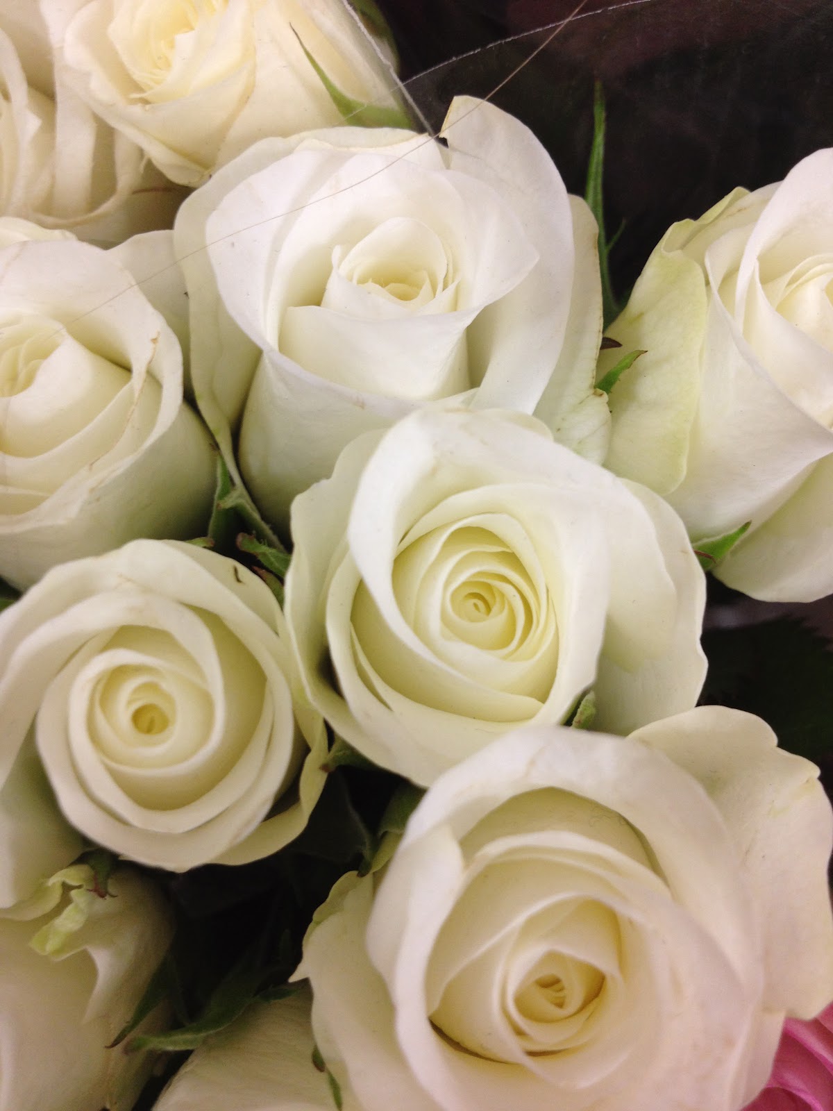 The Helpful Art Teacher: THE SPIRAL