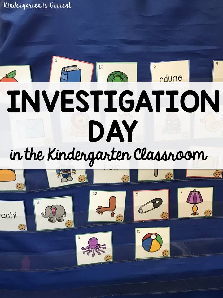 Kindergarten is Grrreat!: Investigation Day