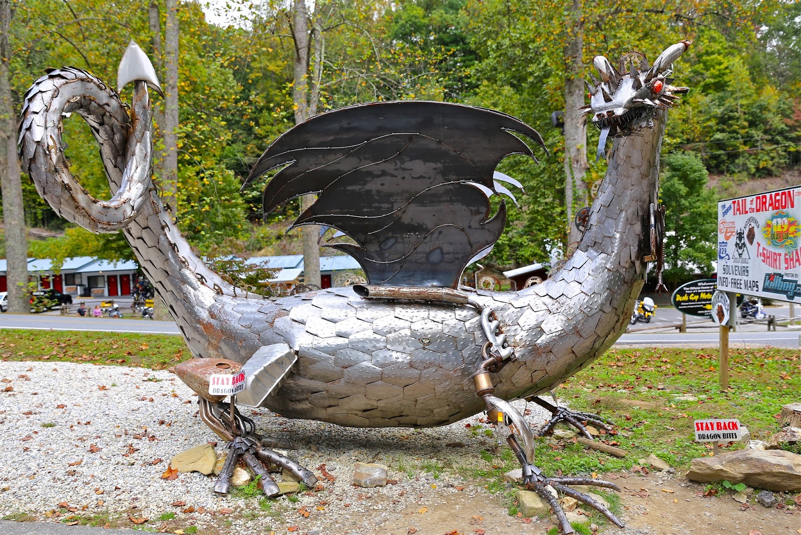 Sweet Southern Days: Tail Of The Dragon