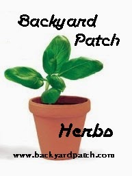 Backyard Patch Herbal Blog: Herb of the Week - Pesto Basil