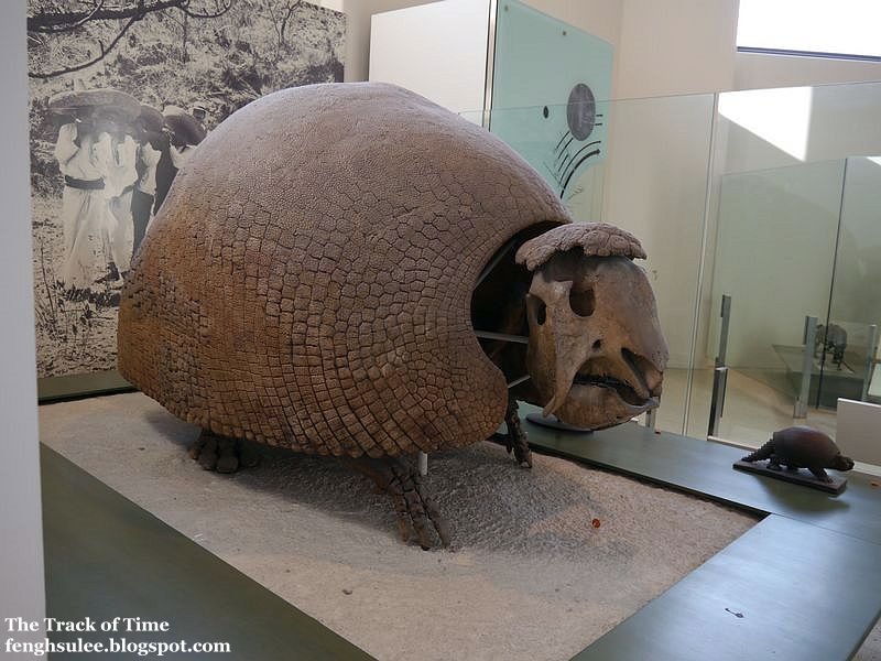 American Museum of Natural History - Primitive Mammals | The Track of Time